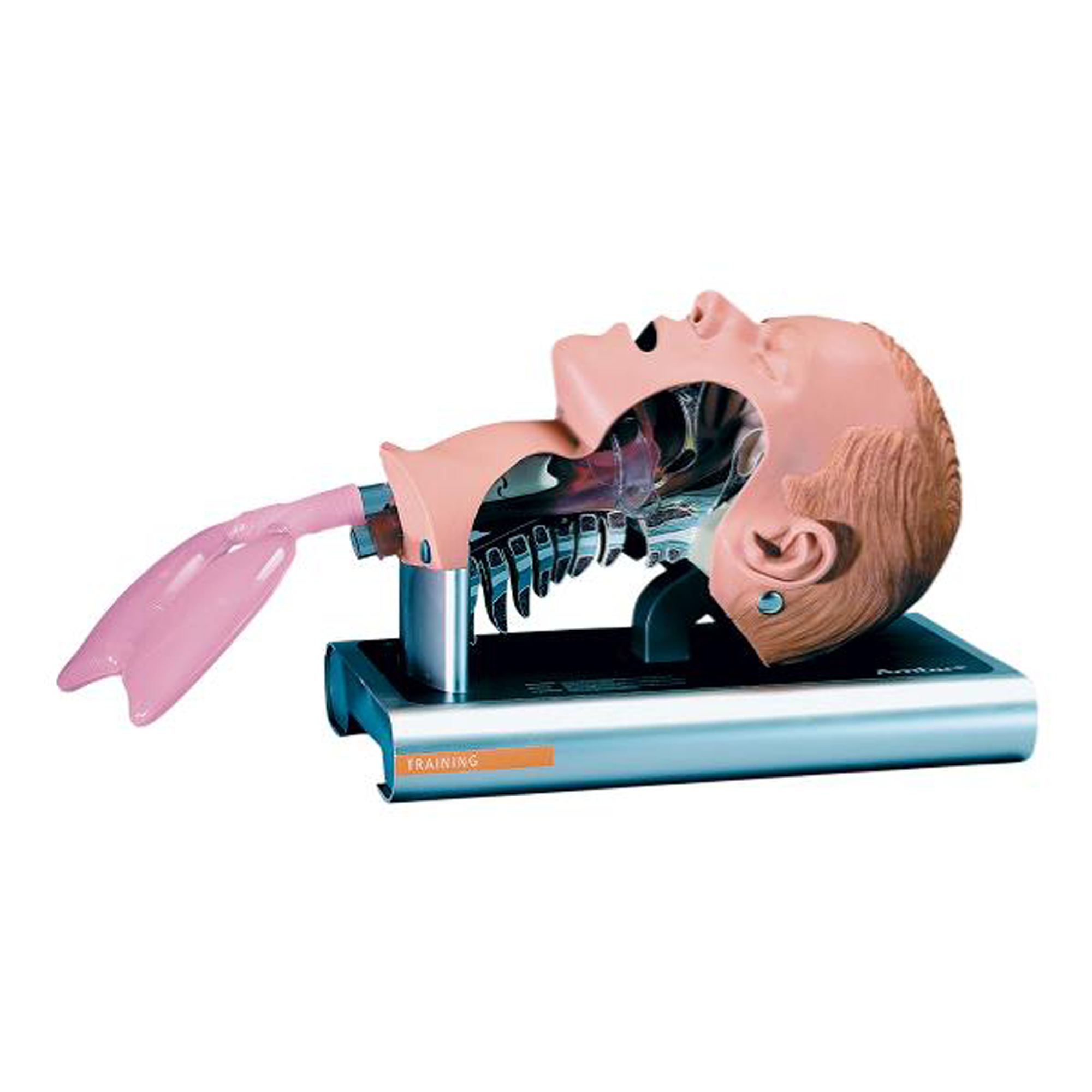 Ambu® Intubation Trainer - Vena Cava Ltd.